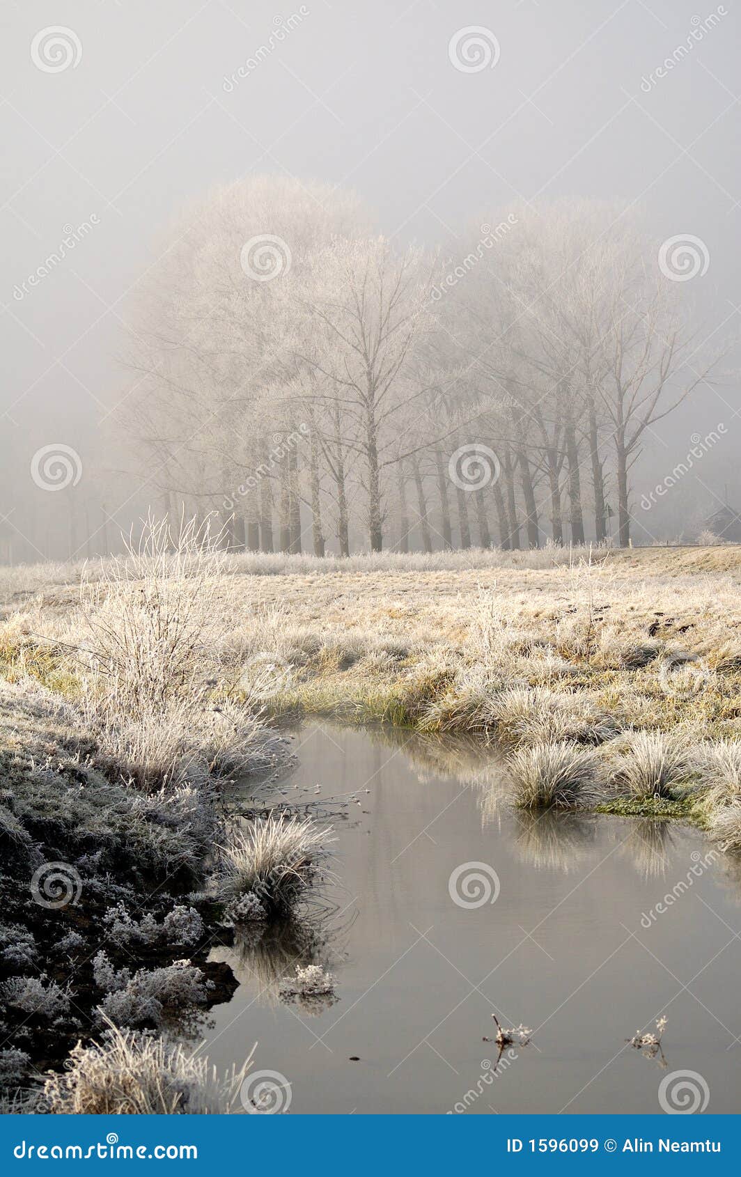 First Frost - Landscape stock image. Image of leaves, blue - 1596099