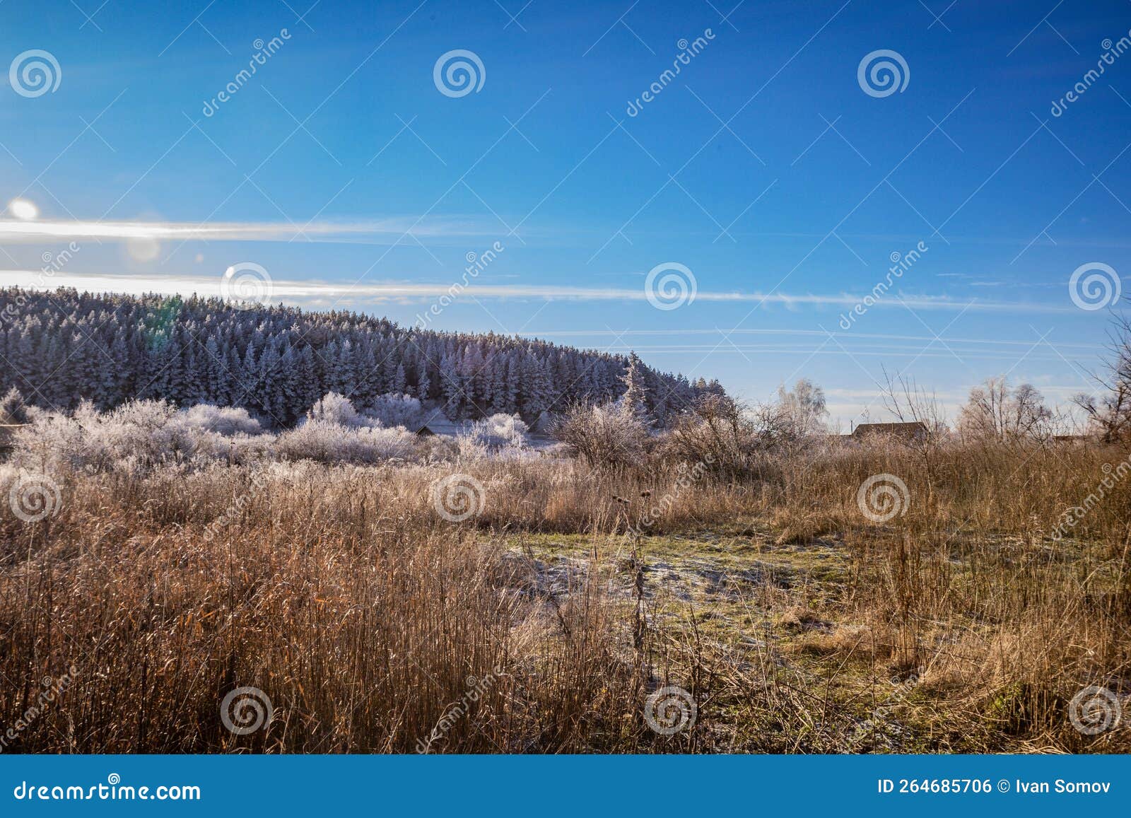 The First Frosts and Frost in the Wild Stock Photo - Image of freeze ...