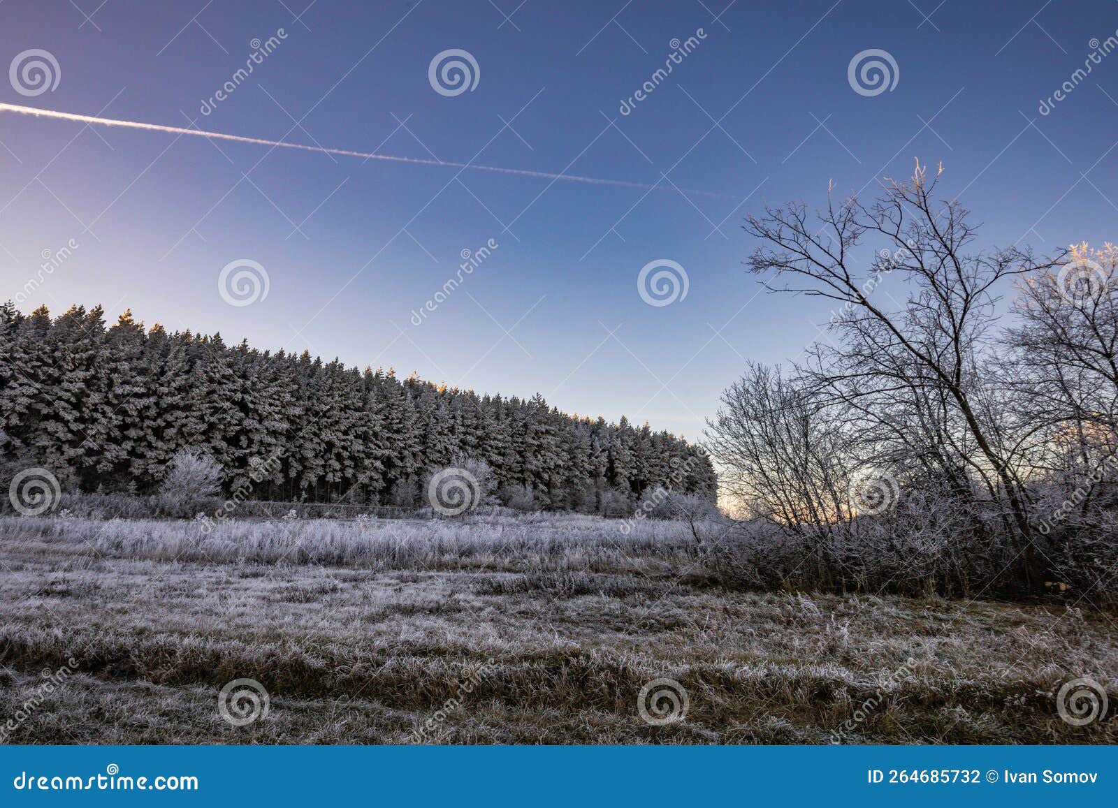 The First Frosts and Frost in the Wild Stock Photo - Image of ...