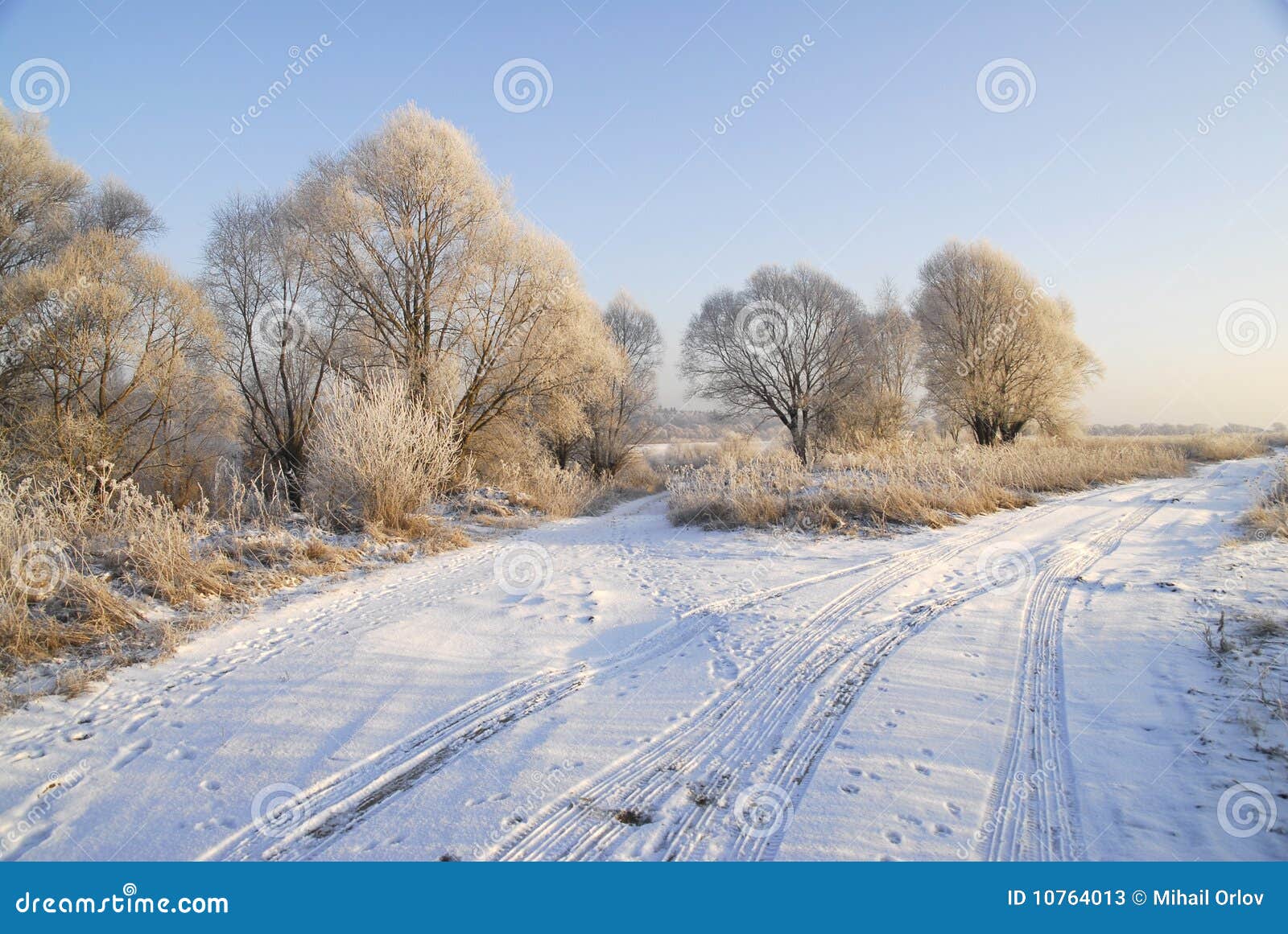 First frosty day. stock image. Image of magical, cold - 10764013
