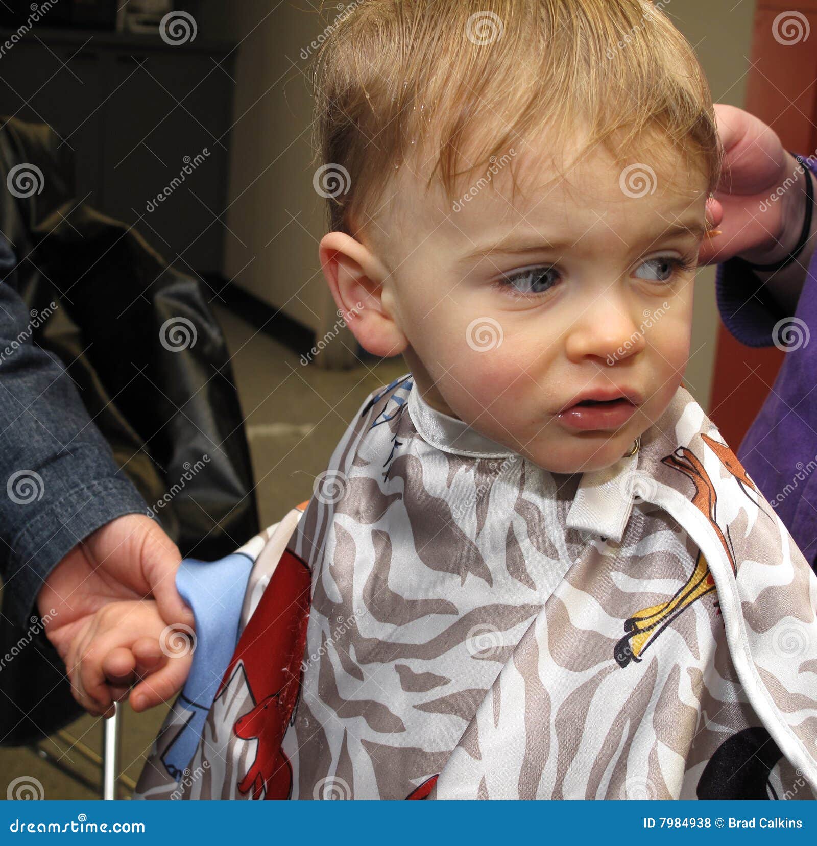 First haircut stock photo. Image of hair, trim, worry - 7984938