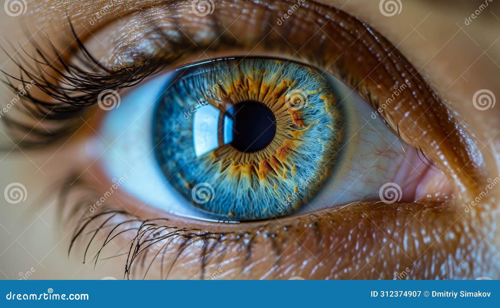 High Quality Stock Photography Stock Image - Image of optical, clarity ...