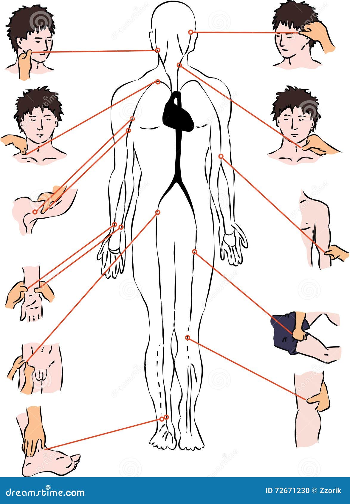 First Aid Scheme Vector Illustration | CartoonDealer.com #81204210