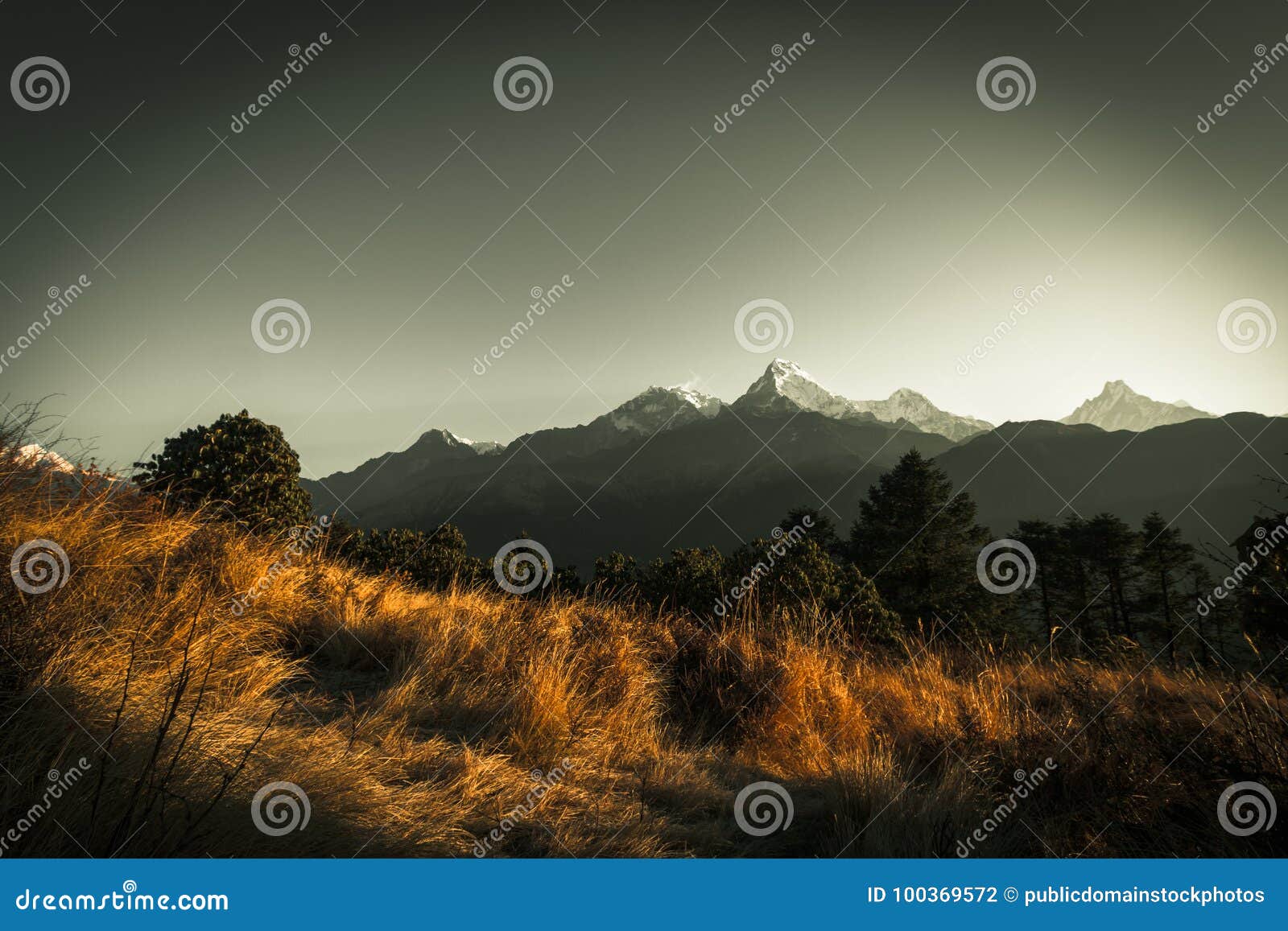 First Light Picture. Image: 100369572