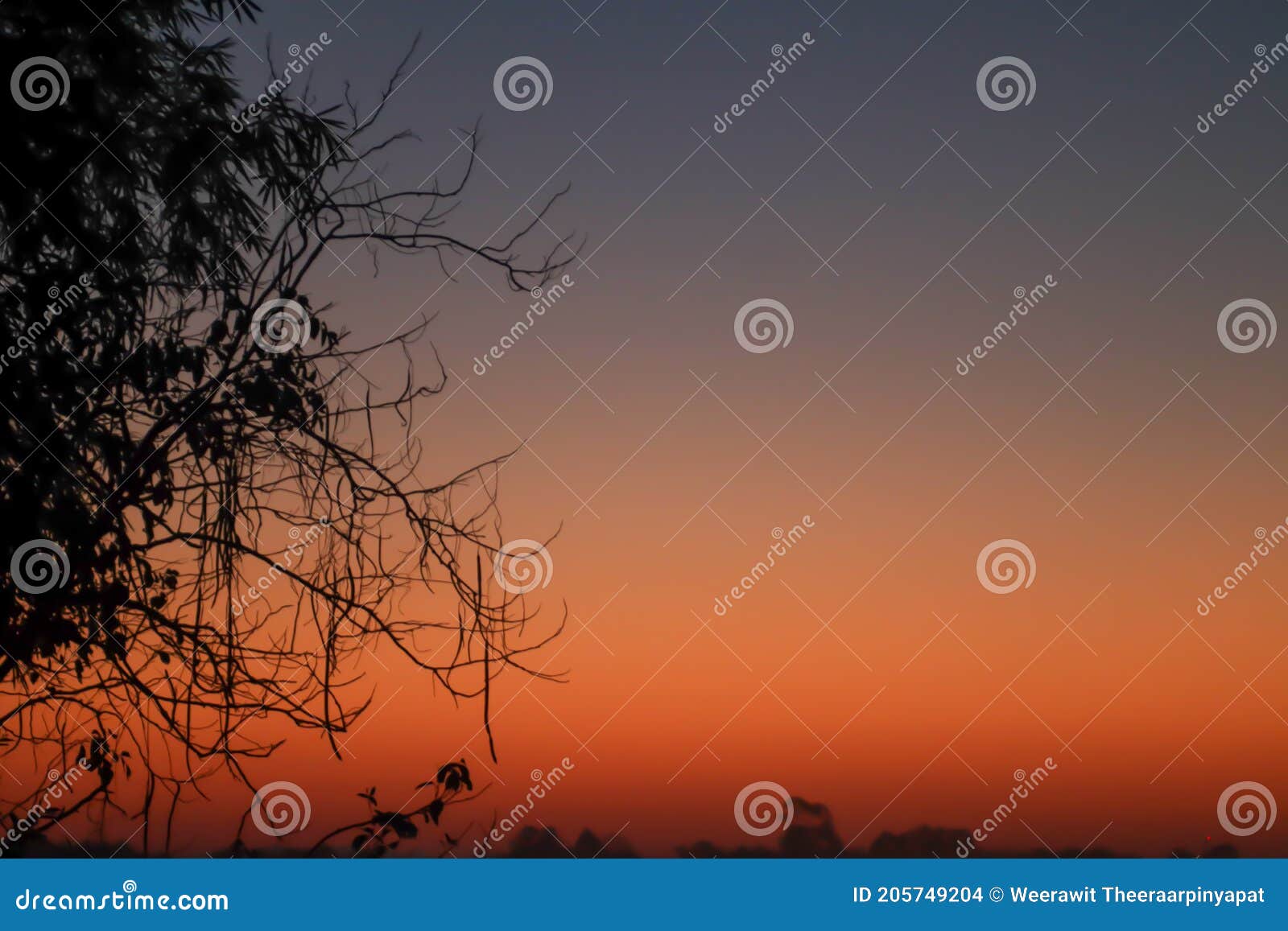 First light at the dawn stock photo. Image of afterglow - 205749204