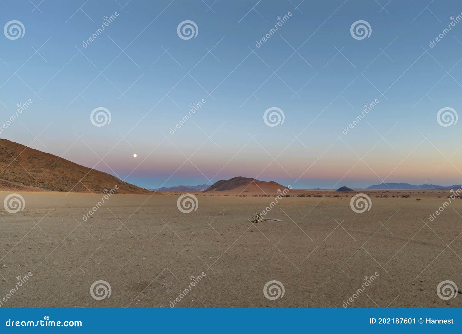 First Light of the Day in the Desert Stock Image - Image of outdoors ...