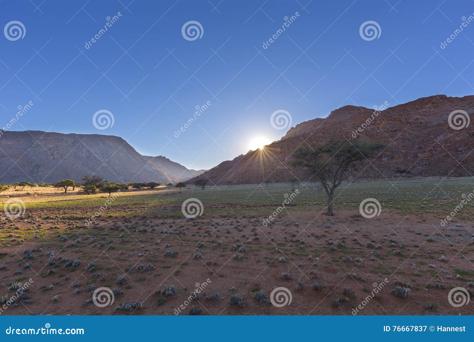 First light of day stock image. Image of sunrise, light - 76667837