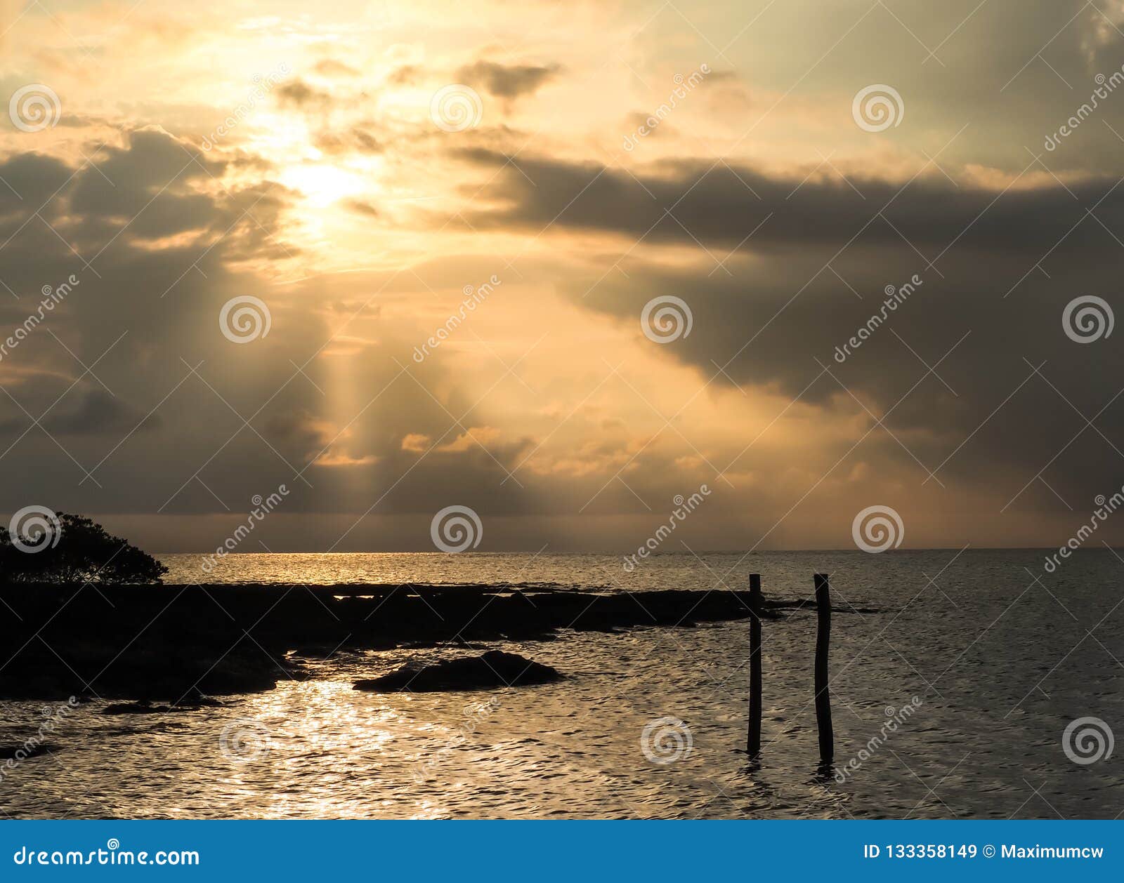 First light of day. stock image. Image of morning, nature - 133358149