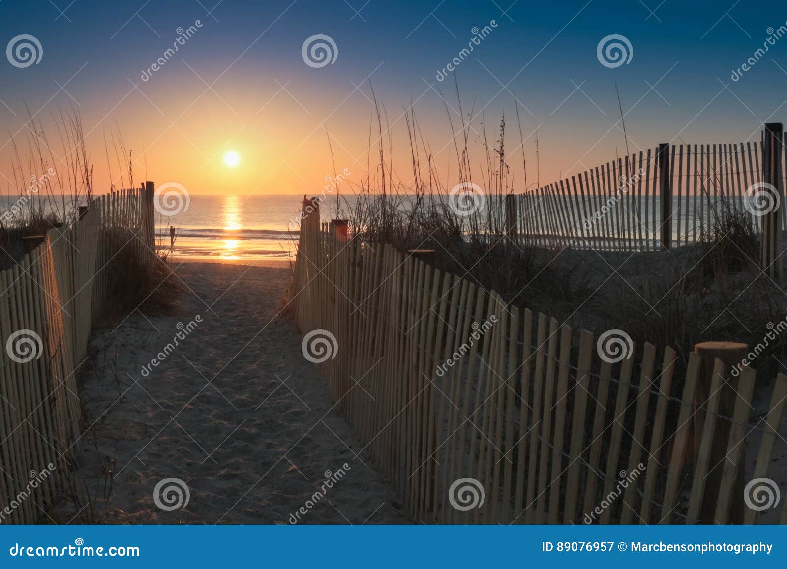 First Light stock image. Image of pathway, myrtle, sand - 89076957