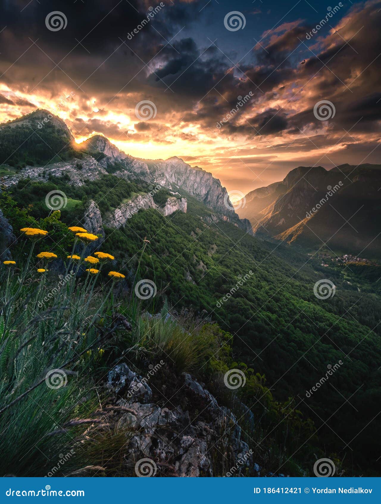 First light stock image. Image of forest, range, smoky - 186412421