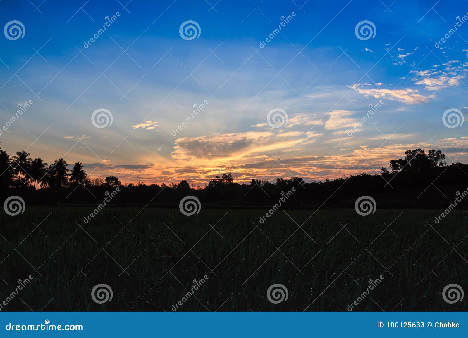 First light of sunrise stock image. Image of beautiful - 100125633