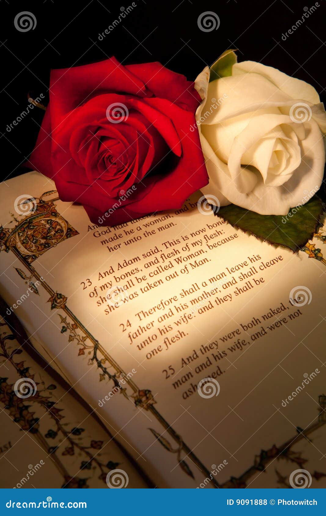 First Marriage in the Bible Stock Photo - Image of flower, tradition ...
