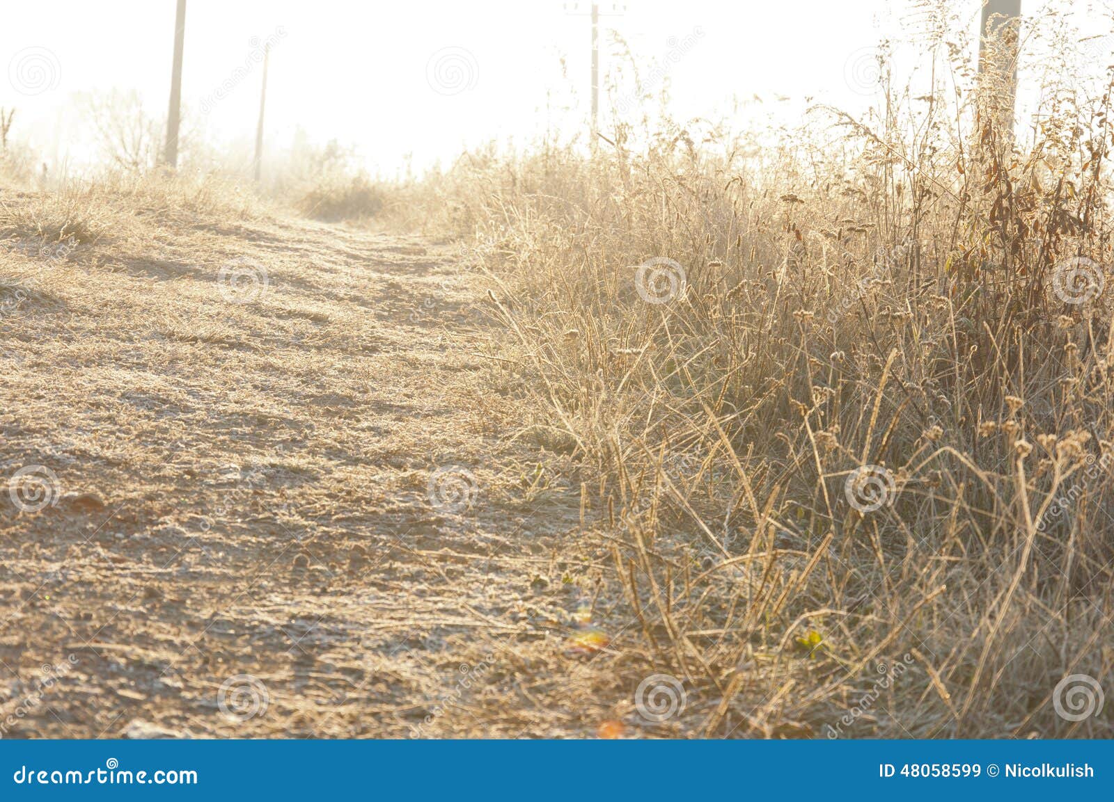 First Morning Frost in the Late Fall Stock Image - Image of grass ...