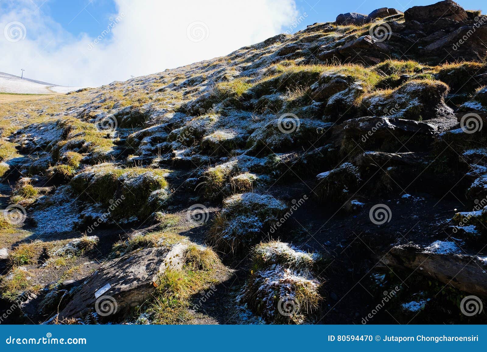 First Mountains , Switzerland Stock Photo - Image of mountain ...