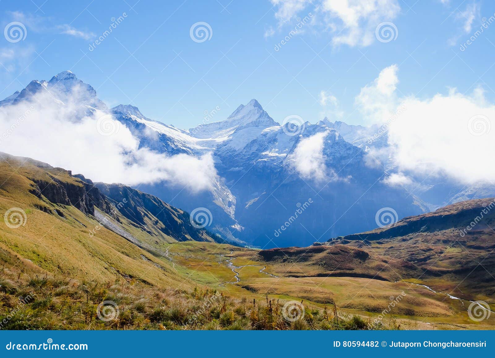 First Mountains , Switzerland Stock Photo - Image of landscape, plateau ...