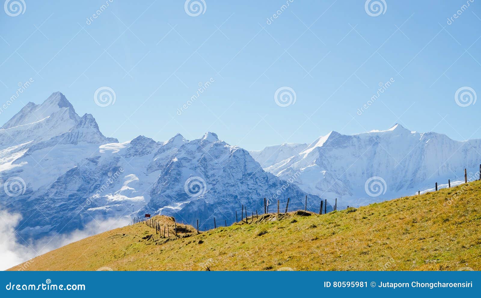 First Mountains Switzerland Stock Image - Image of nature, meadow: 80595981