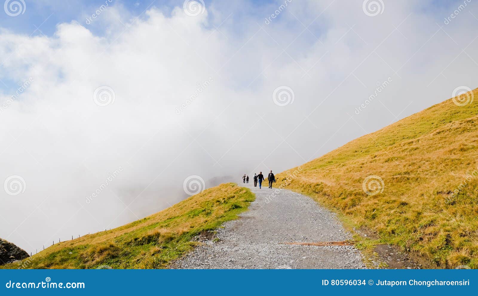 First Mountains Switzerland Stock Photo - Image of grass, path: 80596034