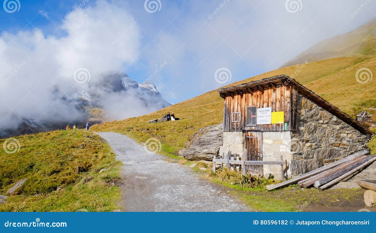 First Mountains Switzerland Editorial Photography - Image of tree ...