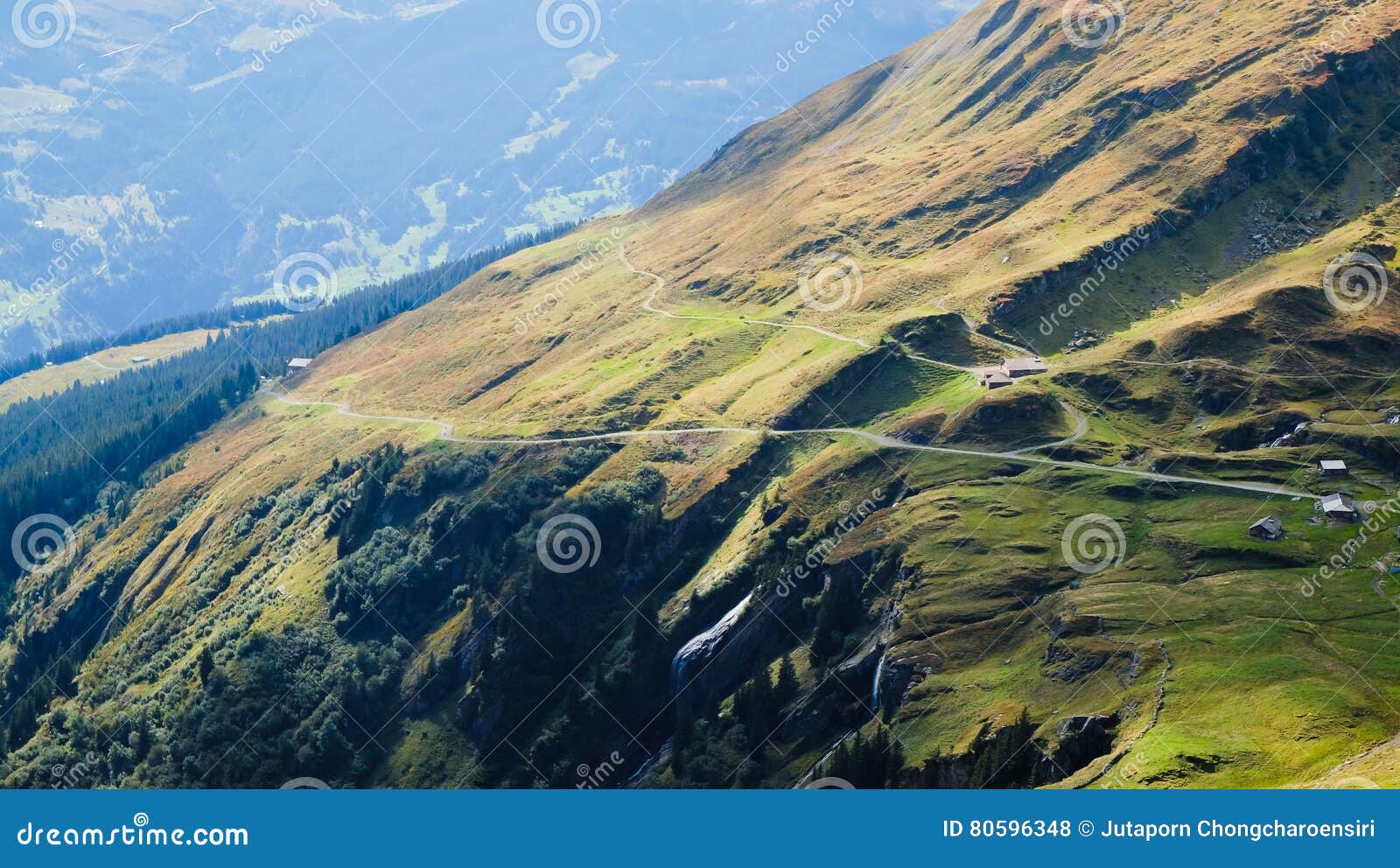First Mountains Switzerland Stock Photo - Image of highland, tree: 80596348