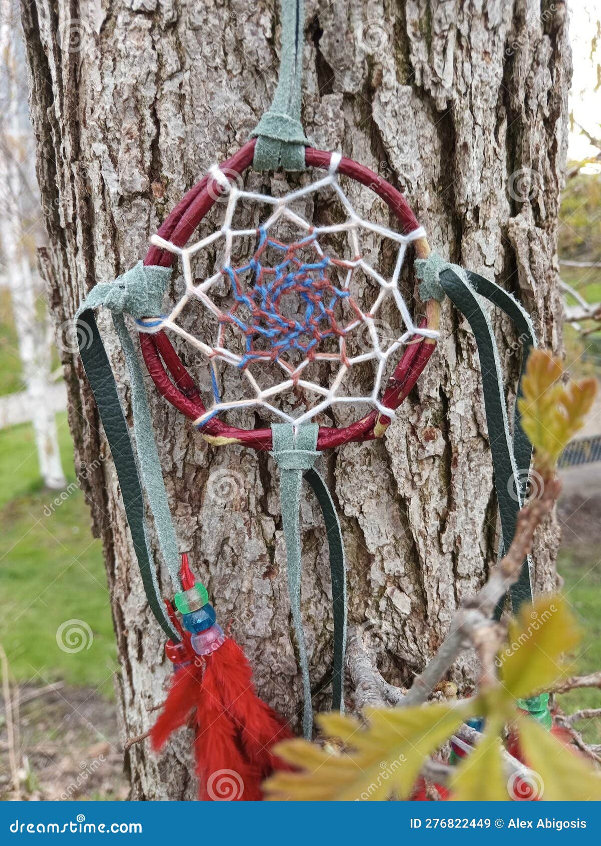 First Nations Dreamcatcher Hanging on a Tree Trunk Outside Stock Image ...