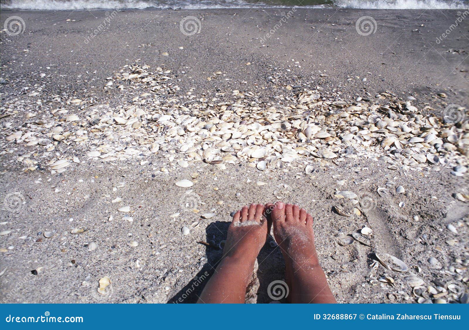 First Person View at the Sea Stock Image - Image of landscape, view ...