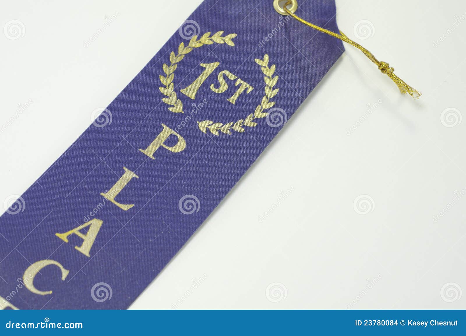 First place blue ribbon stock photo. Image of praise - 23780084