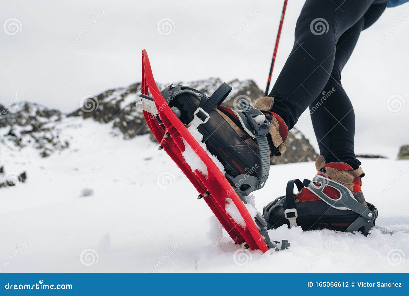First Plane of Snow Rackets in the Mountain Stock Photo - Image of ...