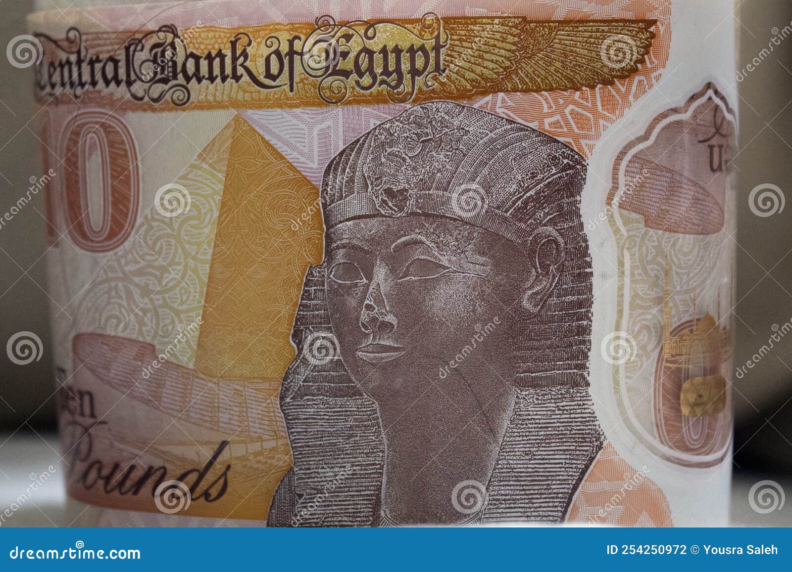 Egypt polymer banknote stock photo. Image of award, organ - 254250972