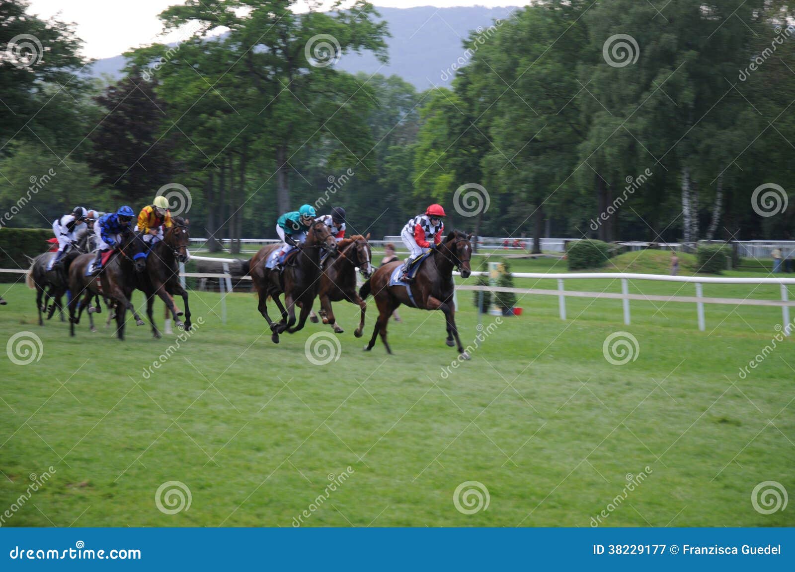 First Racing Day editorial photography. Image of animals - 38229177