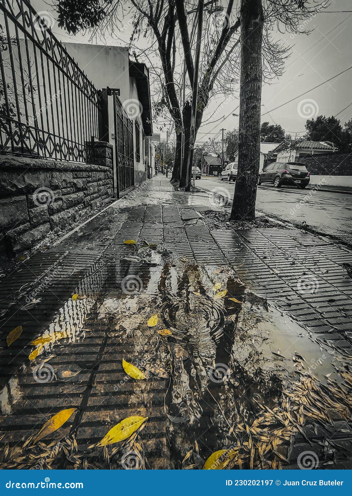 First rain of autumn editorial photography. Image of track - 230202197