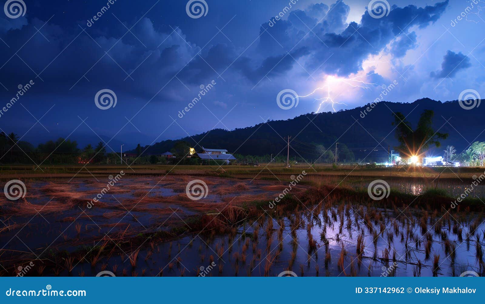 First Rain Falls and Scary Lightning Strikes Over Dry Rice Fields in ...