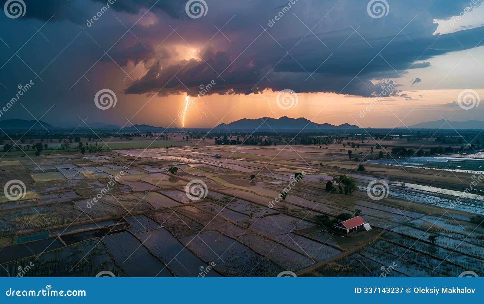 First Rain Falls and Scary Lightning Strikes Over Dry Rice Fields in ...