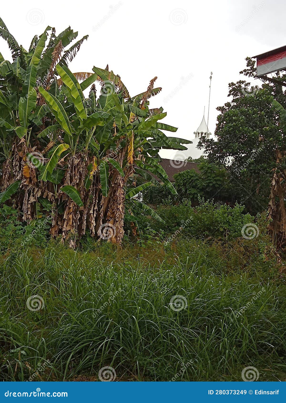The first rain in June stock image. Image of june, green - 280373249