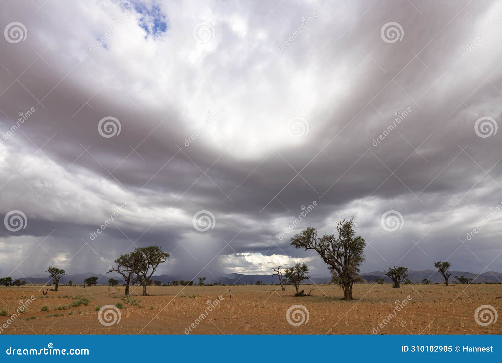 First Rain of the Season on the Dry Namib Desert Stock Image - Image of ...