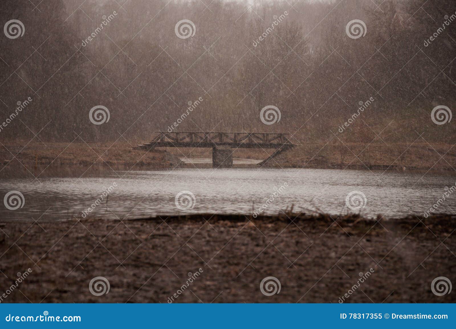 The first rain in spring stock image. Image of peaceful - 78317355