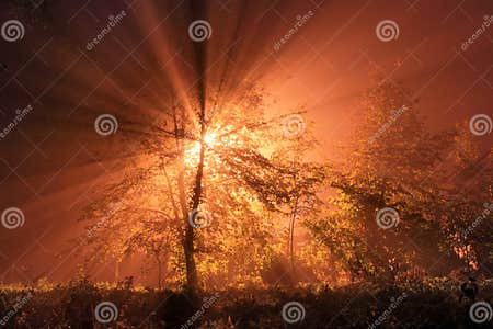 The First Rays of the Rising Sun Stock Photo - Image of orange, magic ...