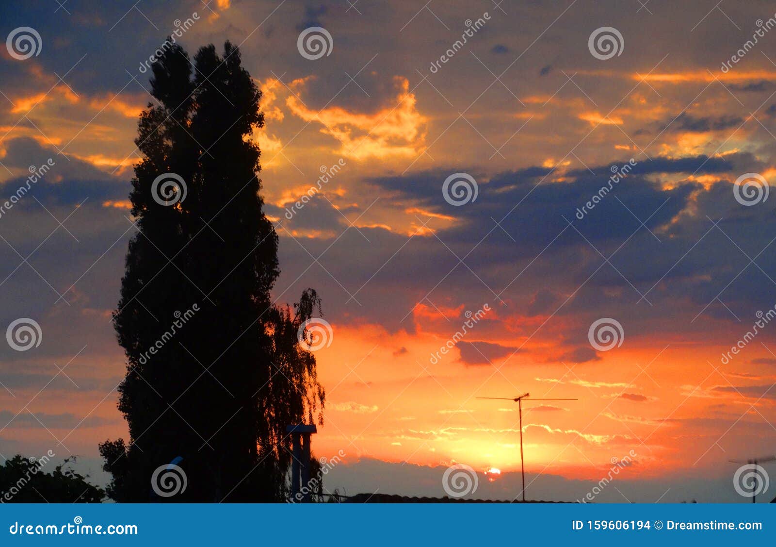 The First Rays of the Rising Sun. Lonely Tree in the Rays of the Rising ...