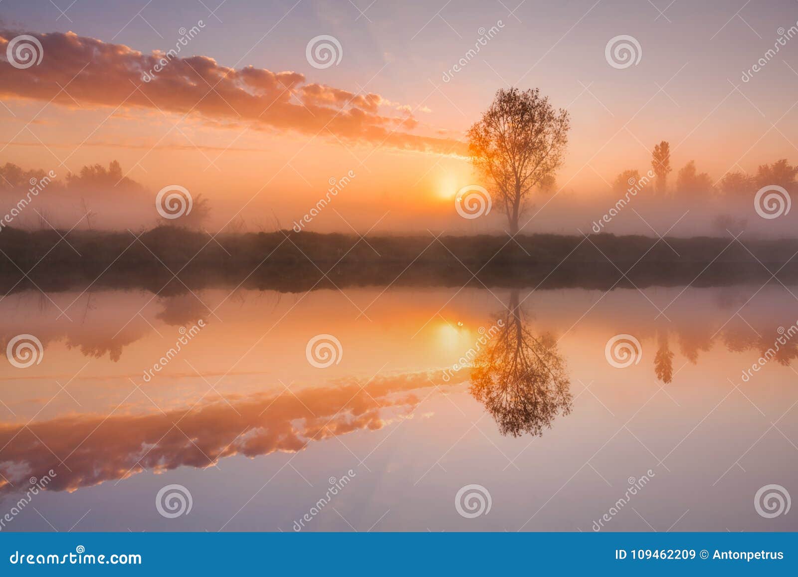 The First Rays of the Rising Sun at Misty River Stock Image - Image of ...