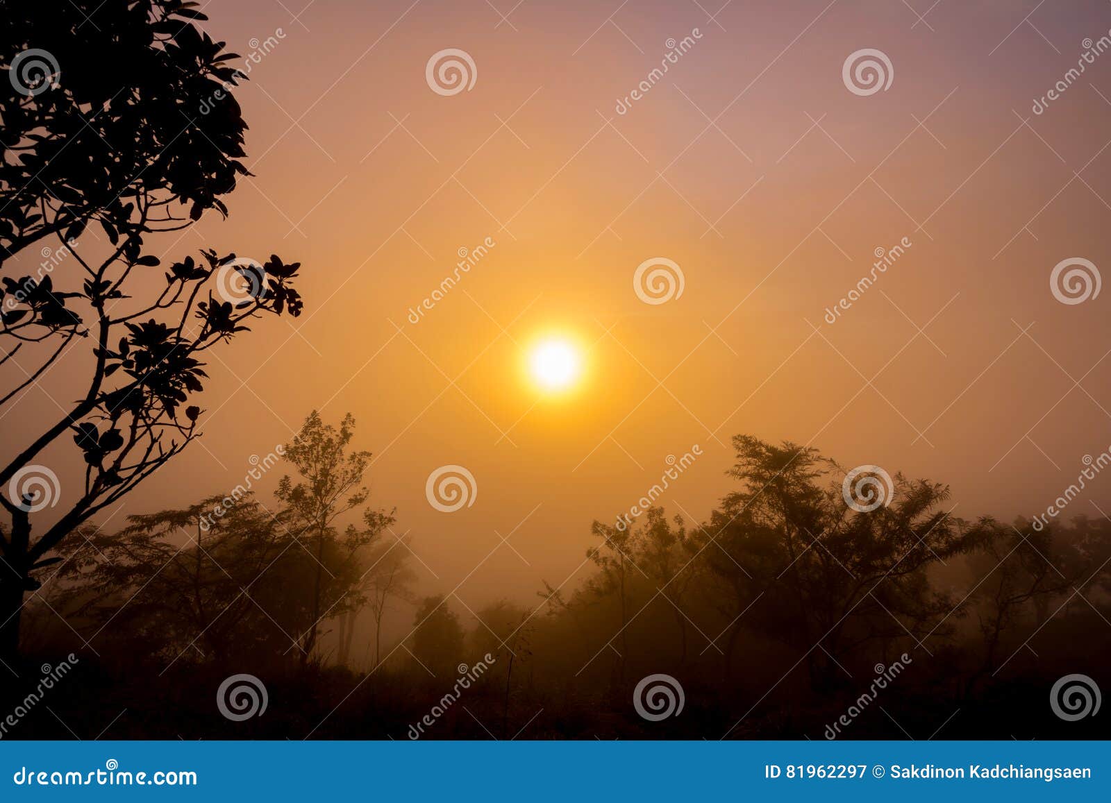 The First Rays of the Rising Sun Stock Image - Image of calm, river ...