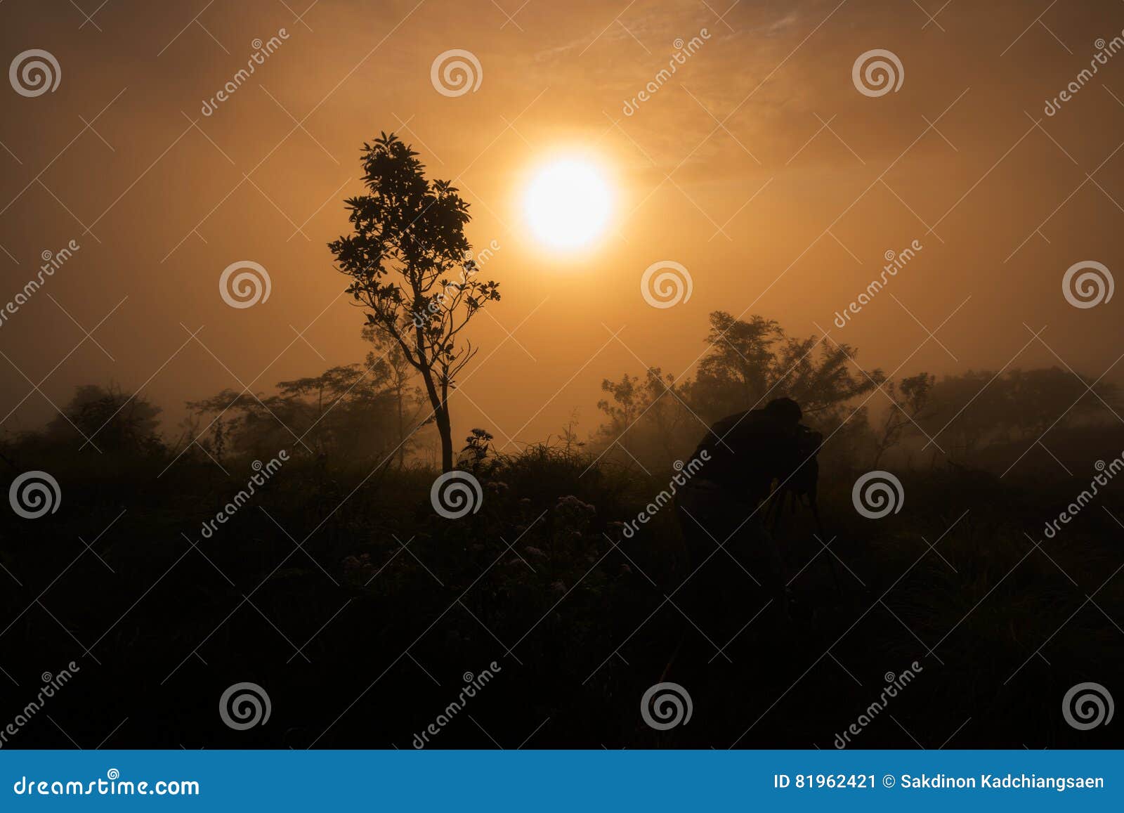 The First Rays of the Rising Sun Stock Image - Image of dawn, haze ...