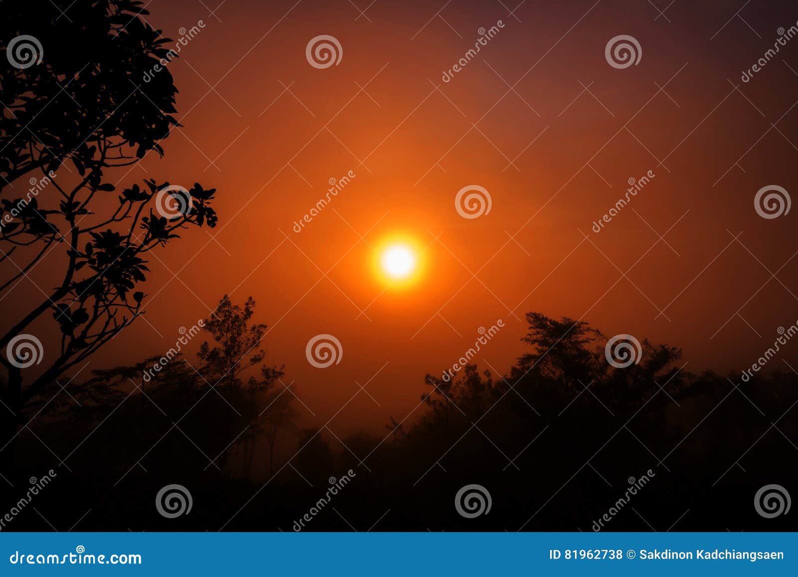 The First Rays of the Rising Sun Stock Photo - Image of landscape ...
