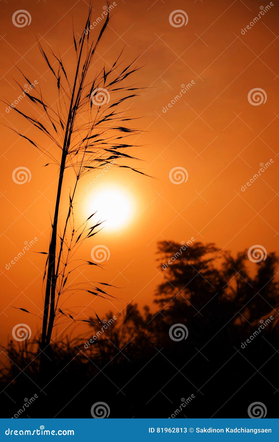 The First Rays of the Rising Sun Stock Image - Image of lake, light ...