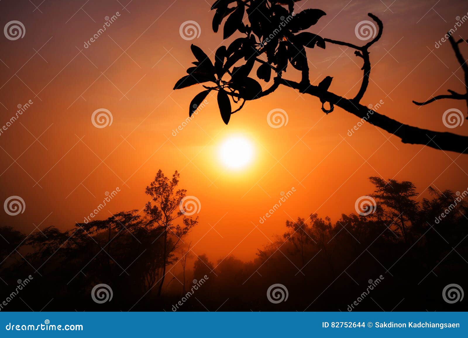 The First Rays of the Rising Sun Stock Photo - Image of reflection ...