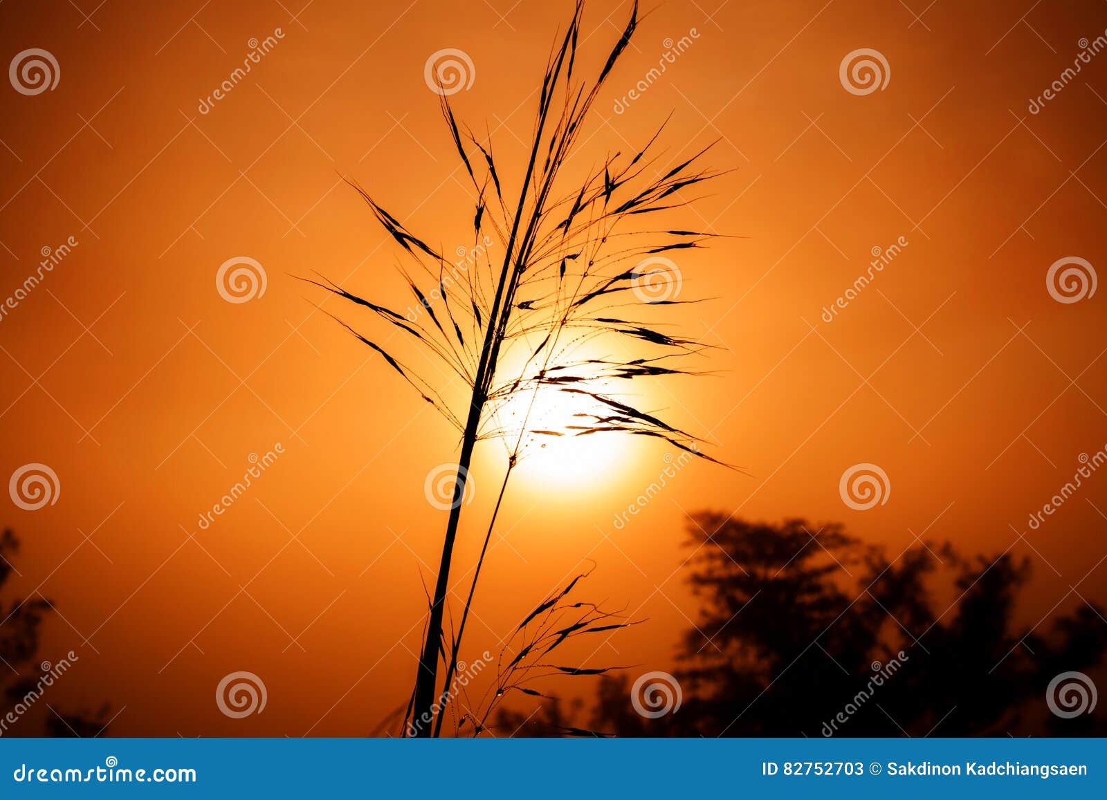 The First Rays of the Rising Sun Stock Image - Image of edges, gold ...