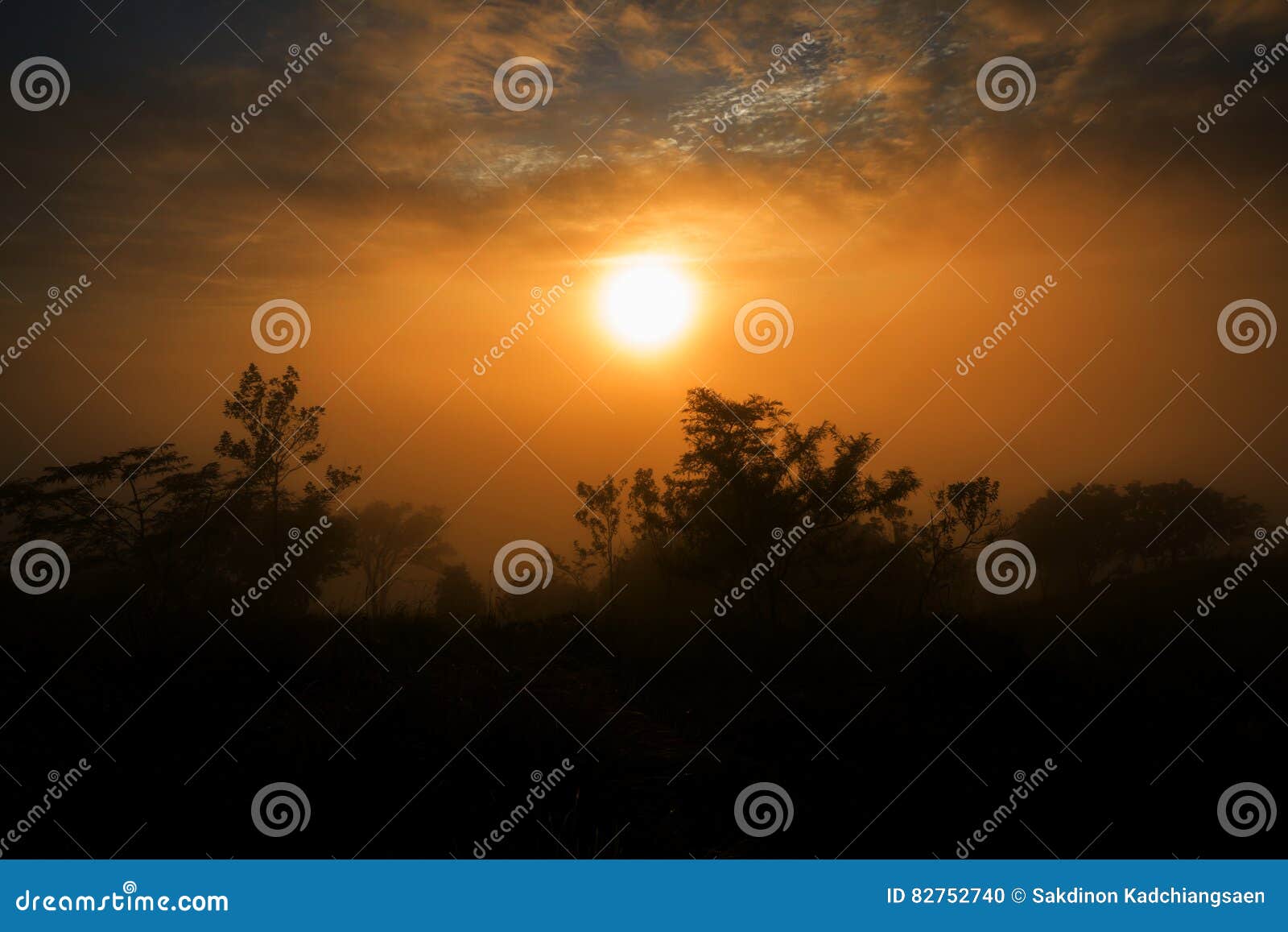 The First Rays of the Rising Sun Stock Photo - Image of colorful ...