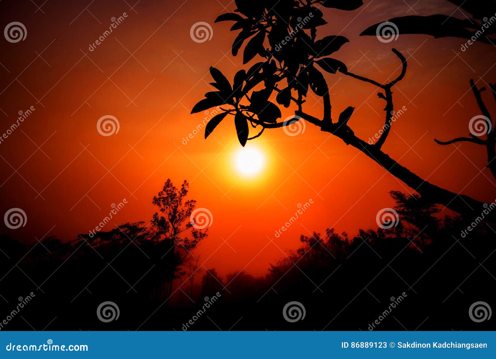 The First Rays of the Rising Sun Stock Image - Image of cloud ...