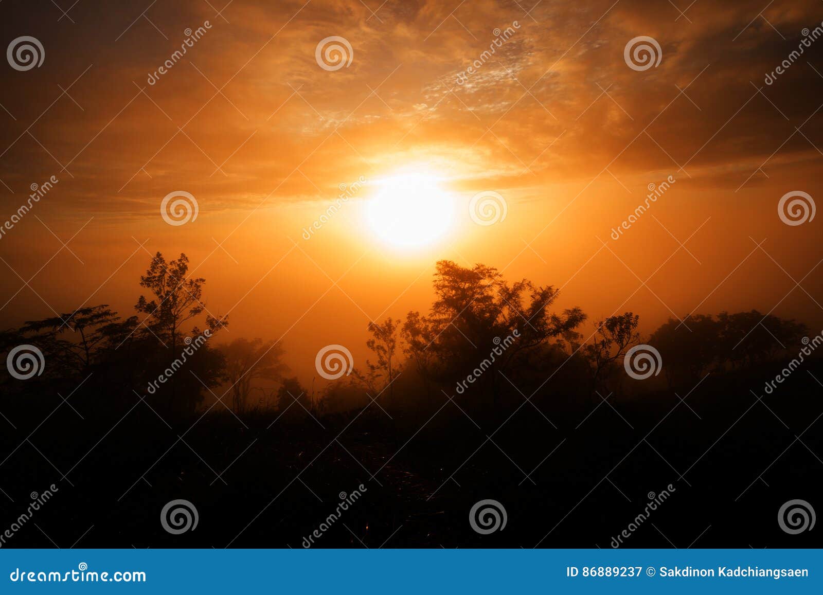 The First Rays of the Rising Sun Stock Image - Image of haze, colorful ...