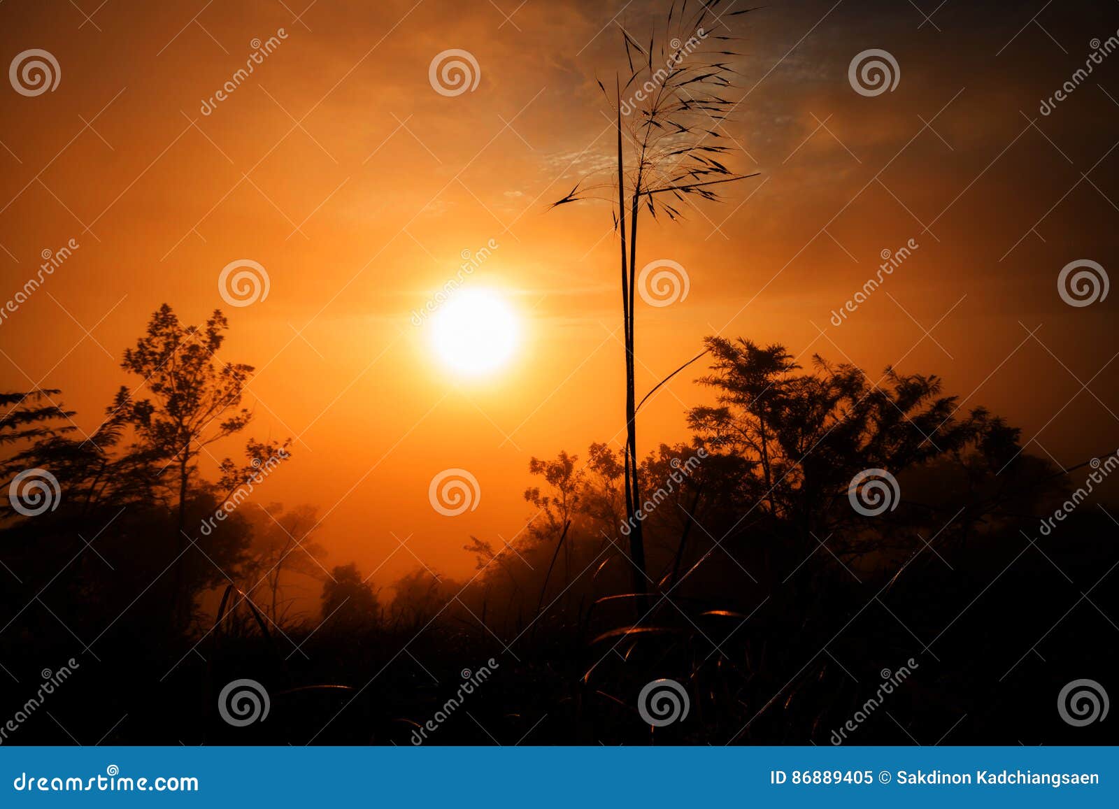 The First Rays of the Rising Sun Stock Image - Image of cane, cloud ...