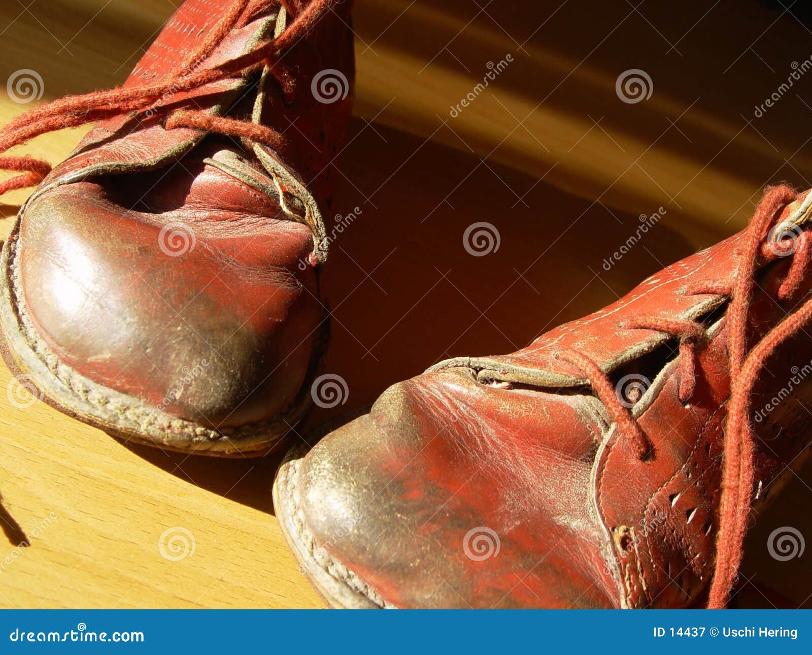First shoes stock image. Image of leather, shoes, shoelace - 14437