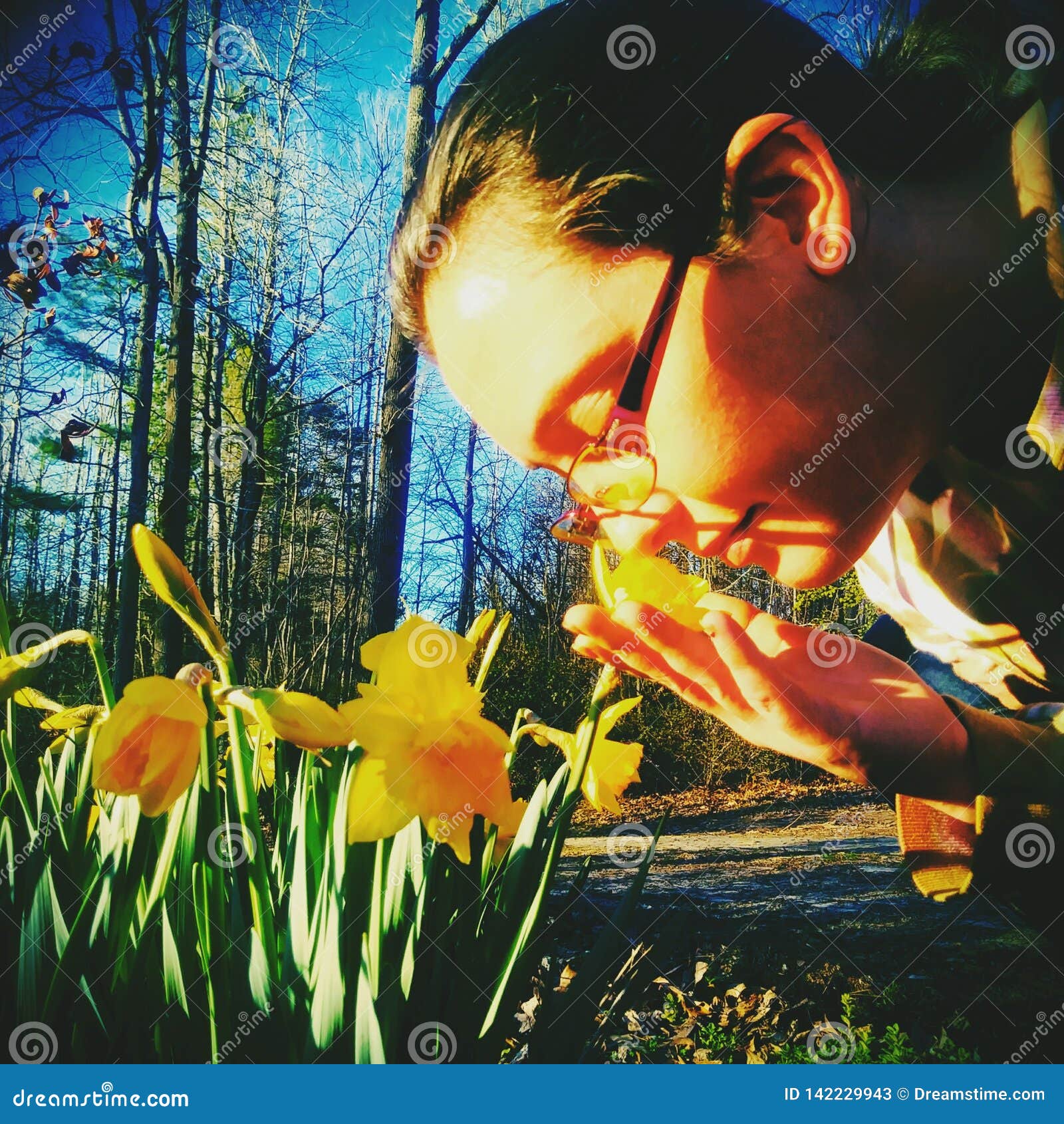 First sign of spring stock image. Image of sunshine - 142229943